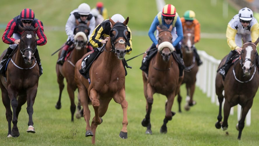 How to read the Racing Form | Tote