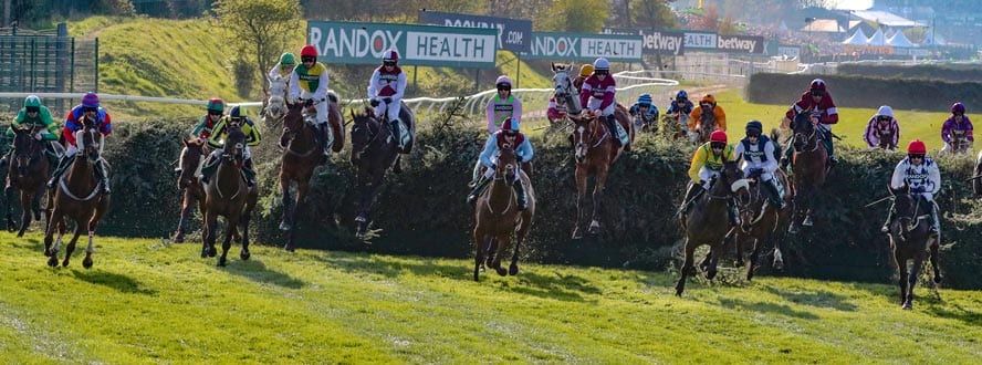 Tote Betting Guide | Tote