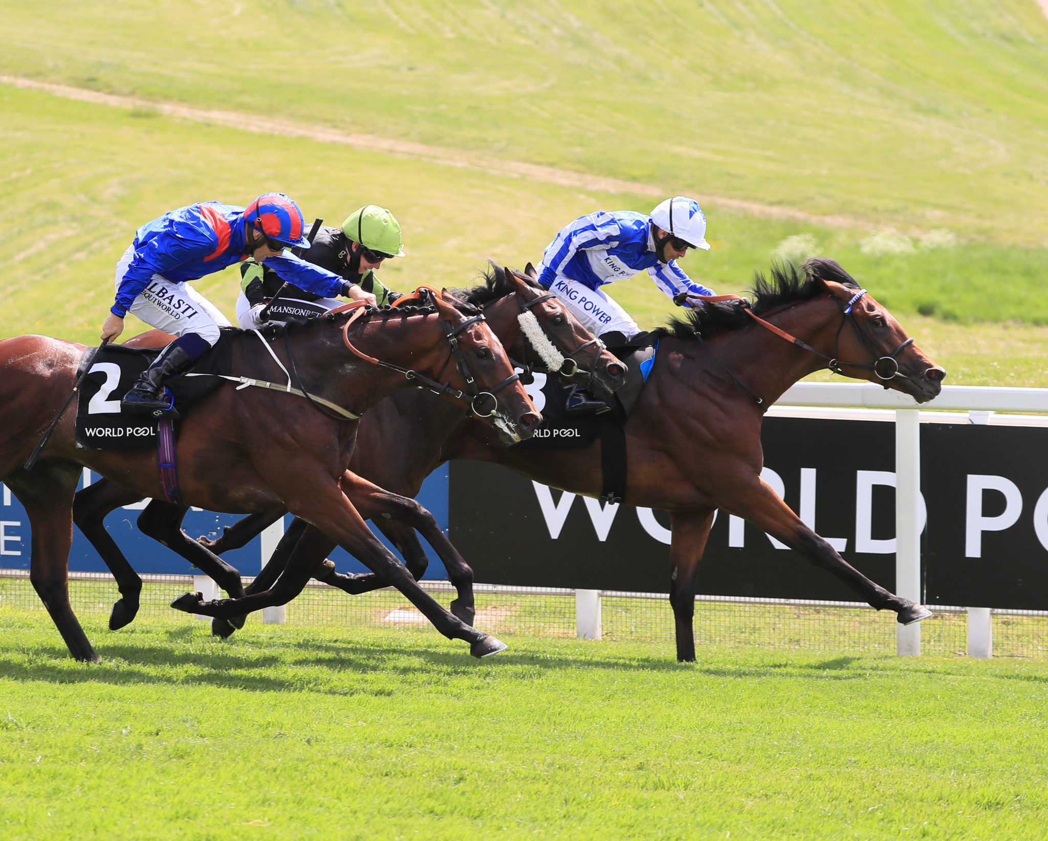 World Pool Guide - Tote