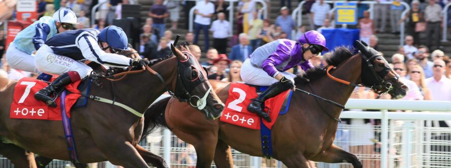 Scoop6 Tips - Tote