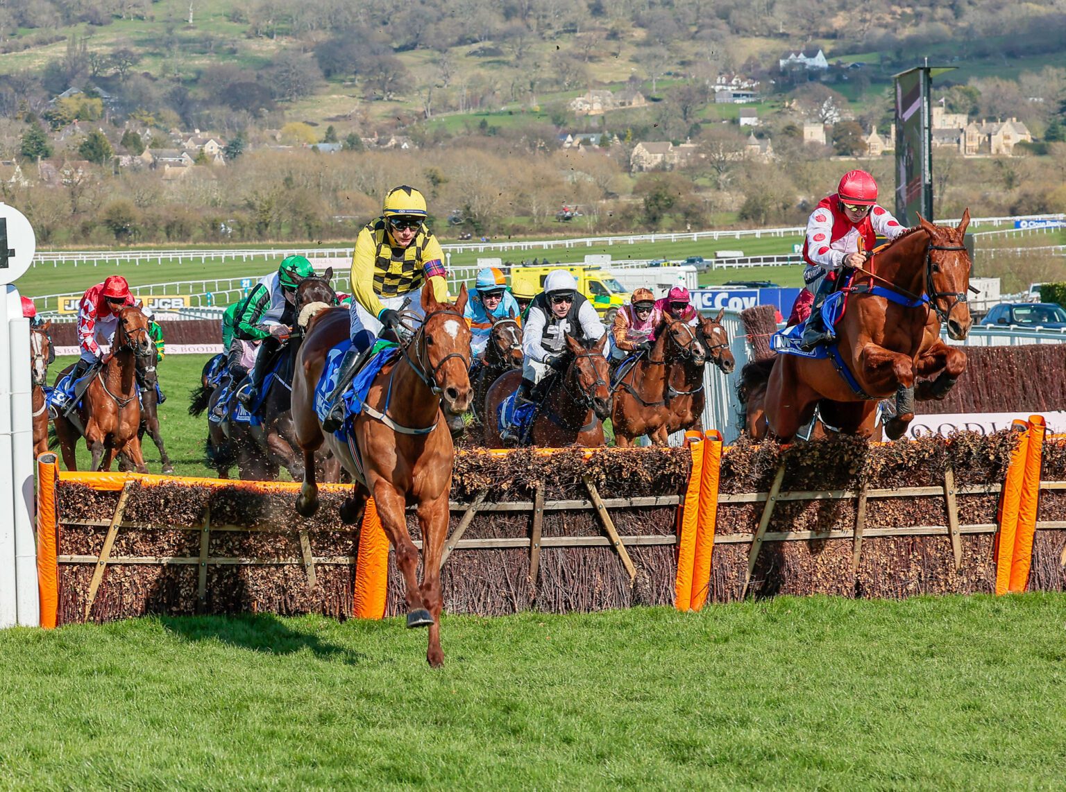 Lorna Fowler: The Colonel can cut the Mustard over fences - Tote