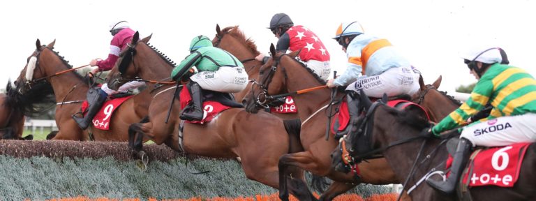 Scoop6 Tips | Expert, Free & Every Day | Tote