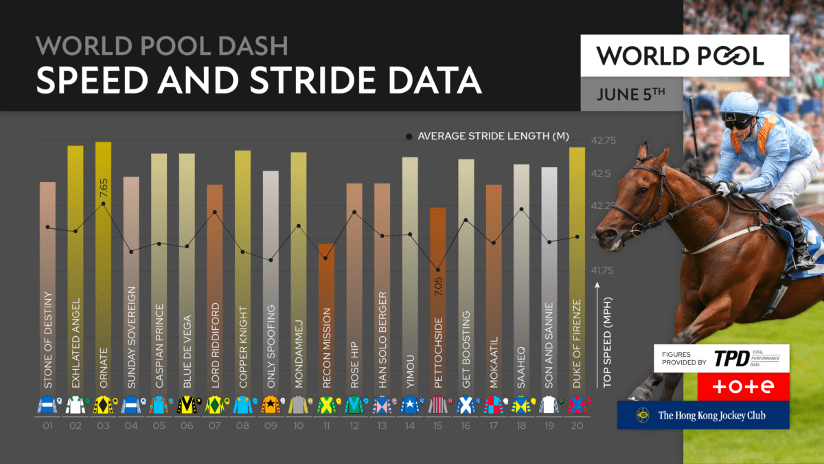 Total Performance Data - Tote