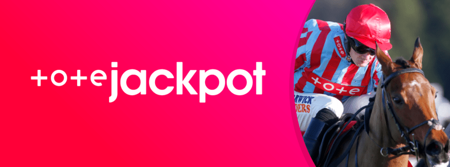 World Pool Guide - Tote