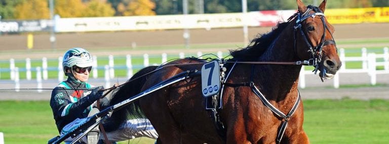 Horse Racing Guides - Tote